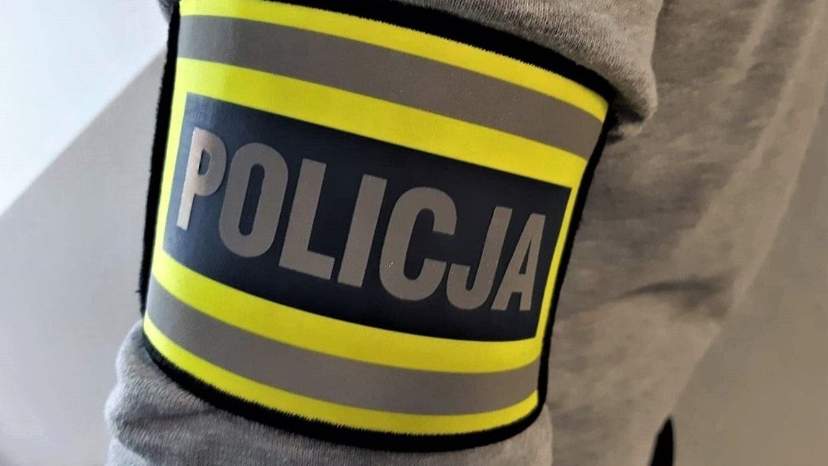 Gry, energetyki i kapibara. 15-letni haker ma poważne kłopoty